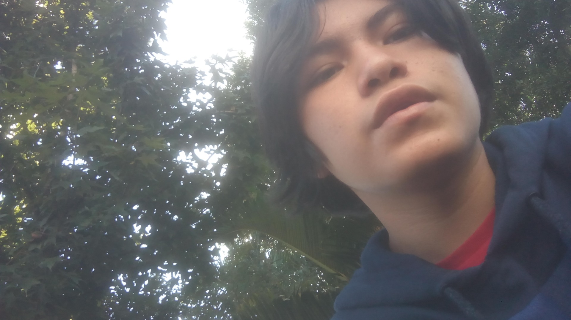 Discografía :: Axel Darío 24